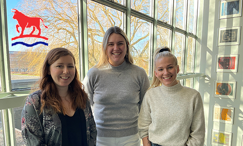 Bliv kontorelev i Rødovre Kommune